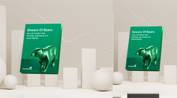 Learn How to Invest in the Stock Market | Bamboo Trading App